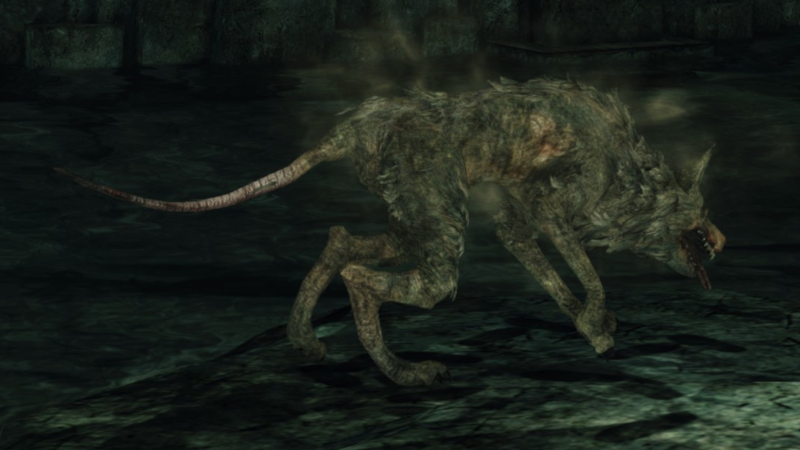 Rat Kingdom – Lokey Lore