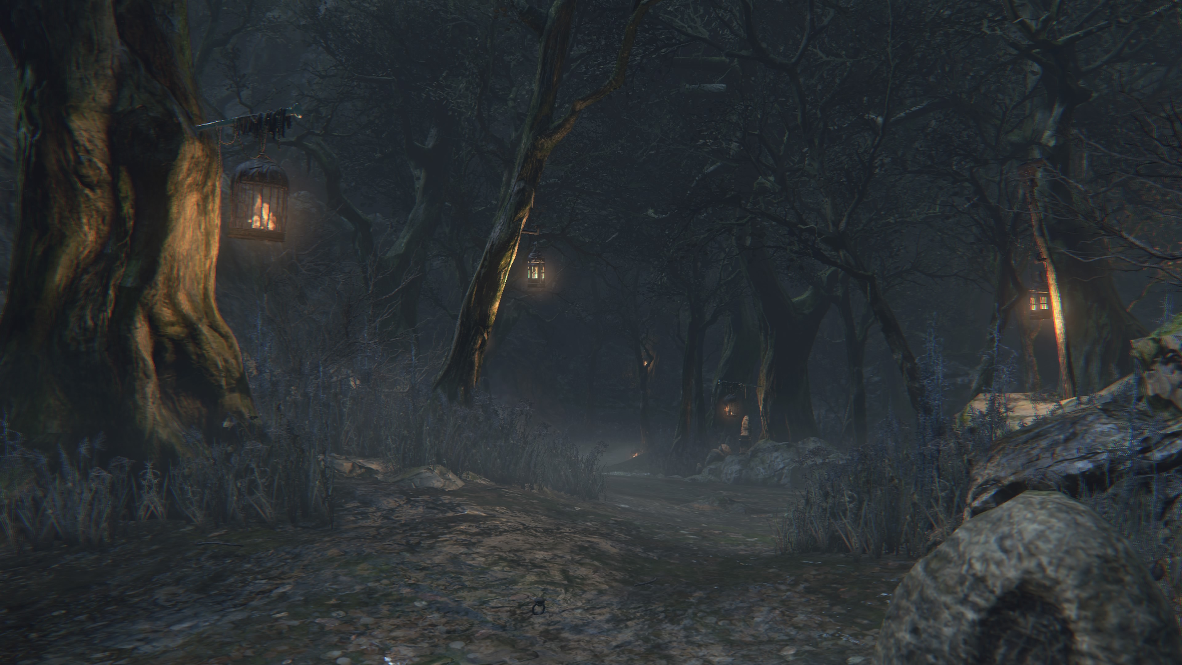 Forbidden Woods – Lokey Lore