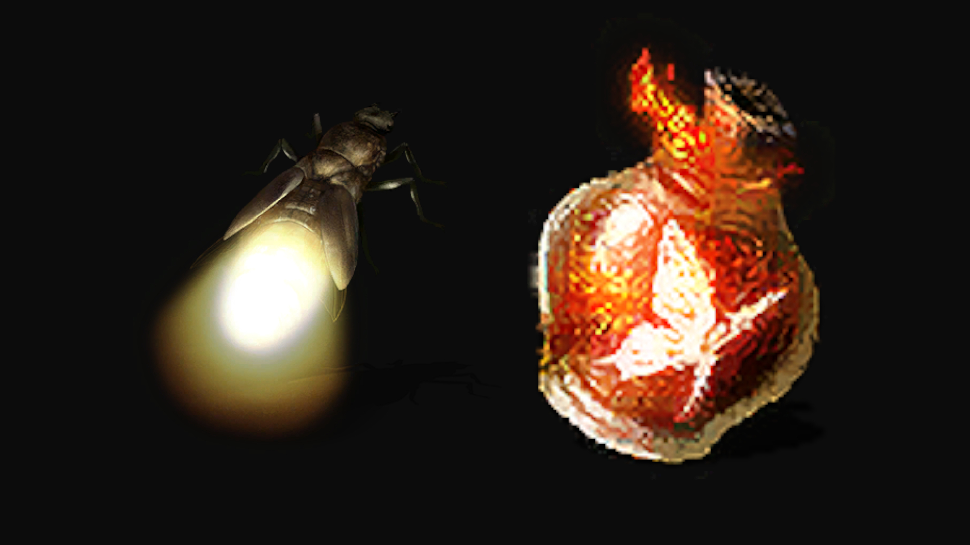 The Great Shift – Lokey Lore